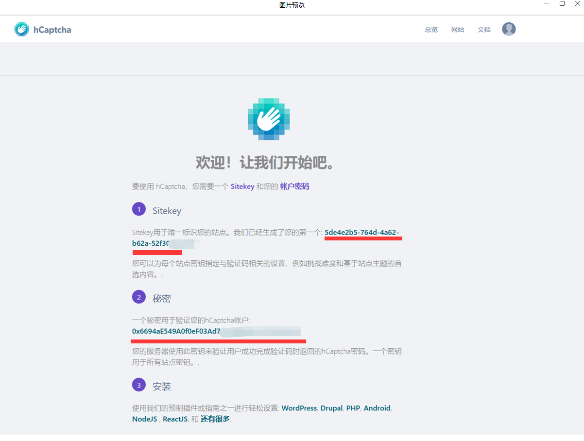 如何获取hCaptcha人机校验的SiteKey与密钥？ - 领动云平台