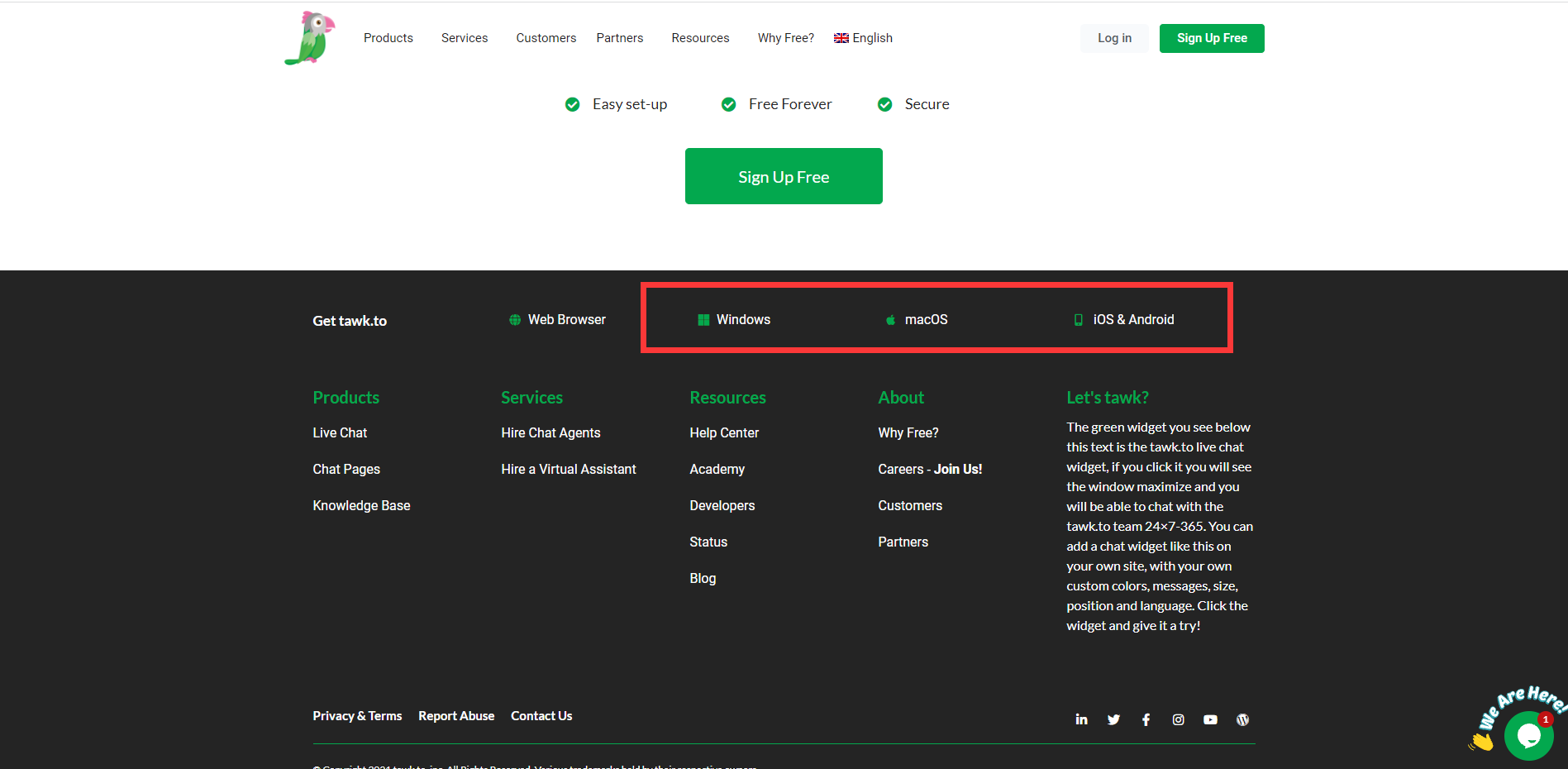 Tawk.to工具使用攻略 - 领动云平台